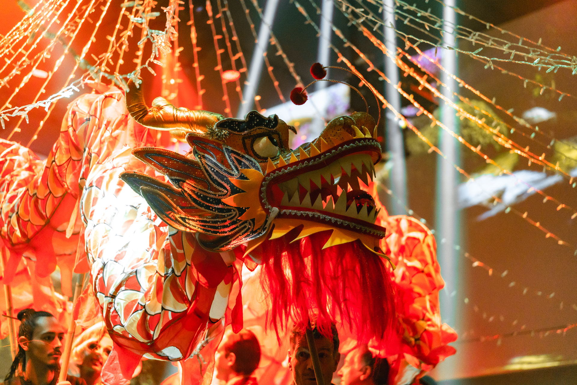 Show – Pink Rabbit Dinner Show – Restaurant Bar Club Zurich