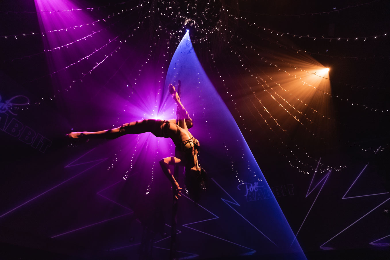 Show – Pink Rabbit Dinner Show – Restaurant Bar Club Zurich