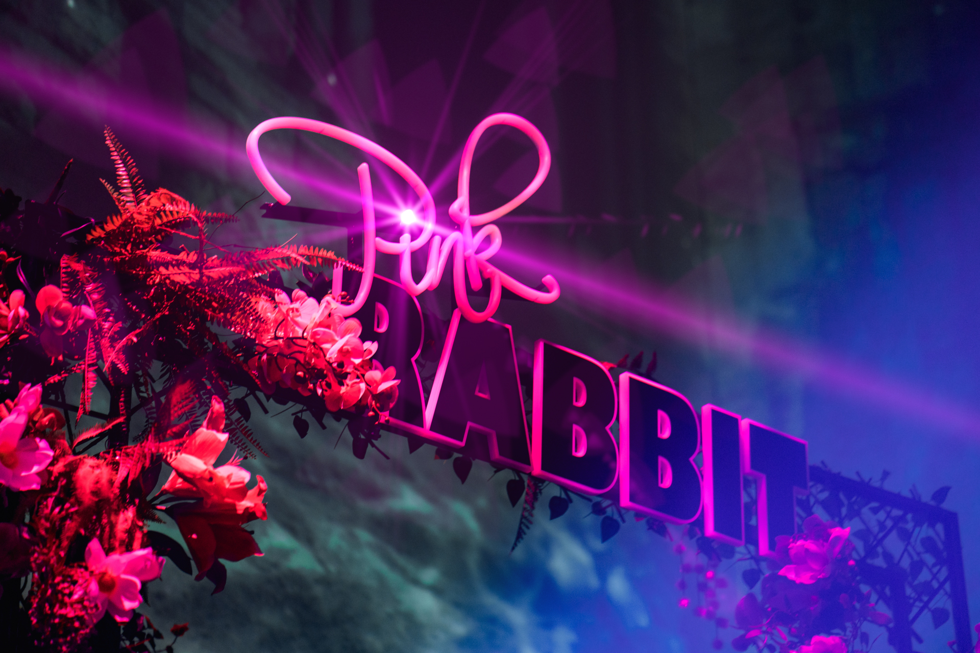 The New Pink Rabbit 2025 – Die einzigartige Dinner Show am Paradeplatz ...