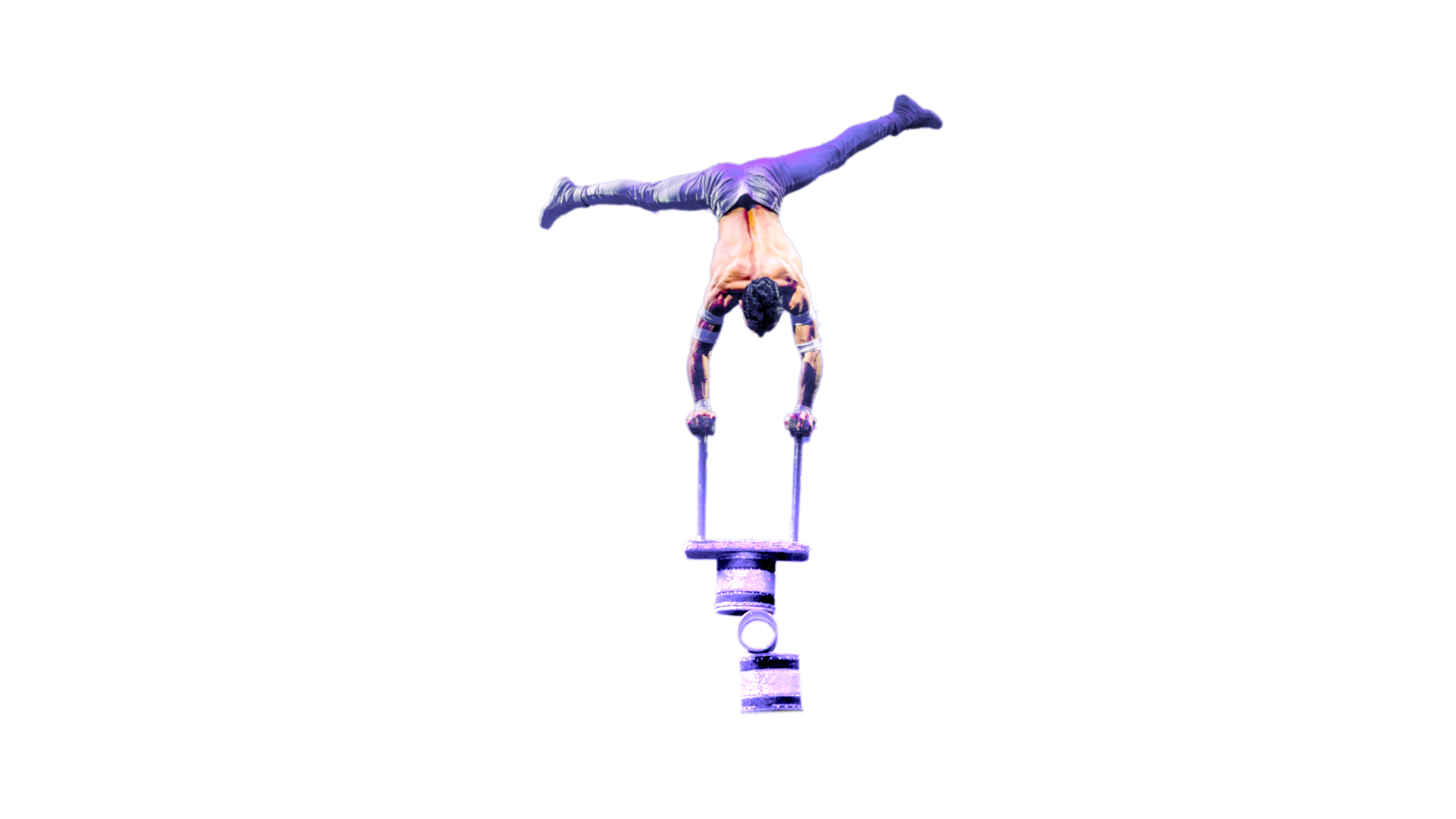 The New Pink Rabbit 2025 – Die einzigartige Dinner Show am Paradeplatz ...