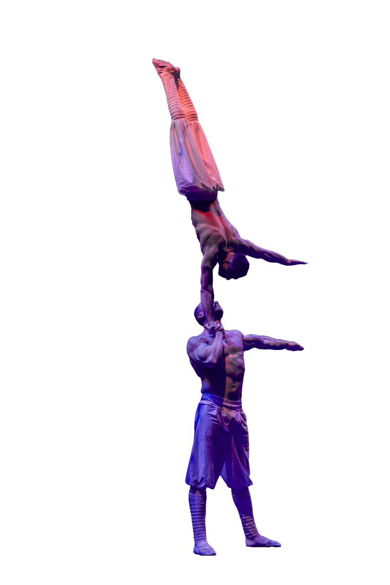 The New Pink Rabbit 2025 – Die einzigartige Dinner Show am Paradeplatz ...