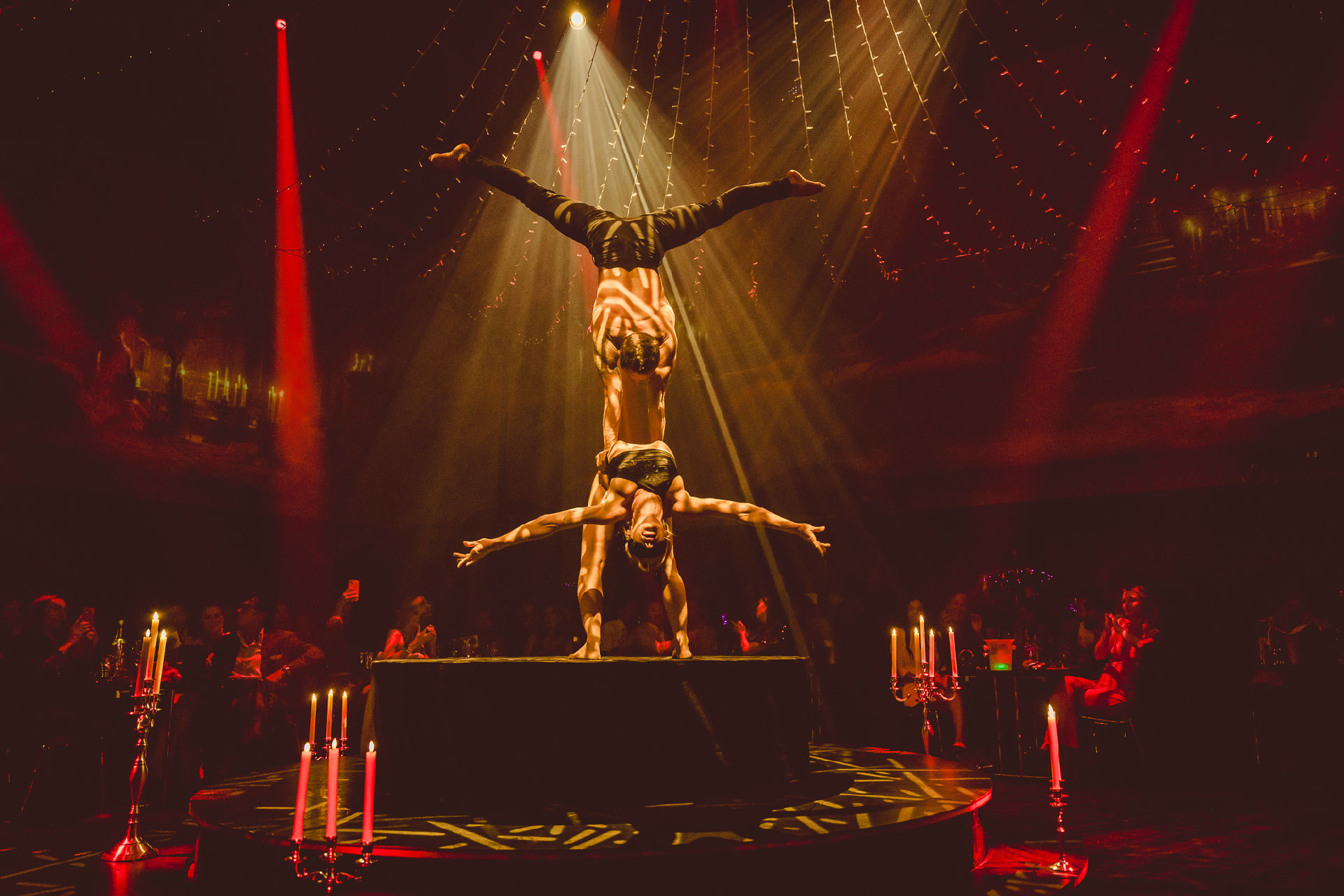 The New Pink Rabbit 2025 – Die einzigartige Dinner Show am Paradeplatz ...